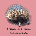 Echidna Tracks
