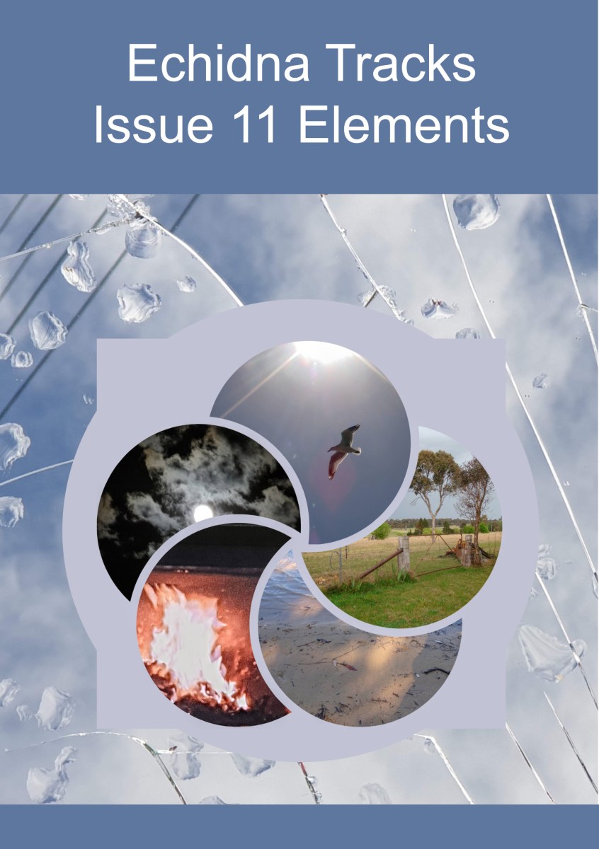 Echidna Tracks Issue 11: Elements – Echidna Tracks